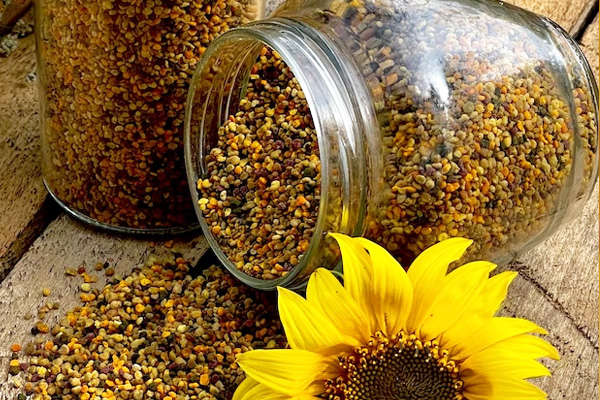 Testé pour vous : Pollen multifloral Dietaroma - Aroma-zen